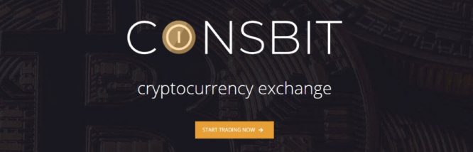 CHOLLO! 2000 CNB (200$) GRATIS con Coinsbit (Actualizado)